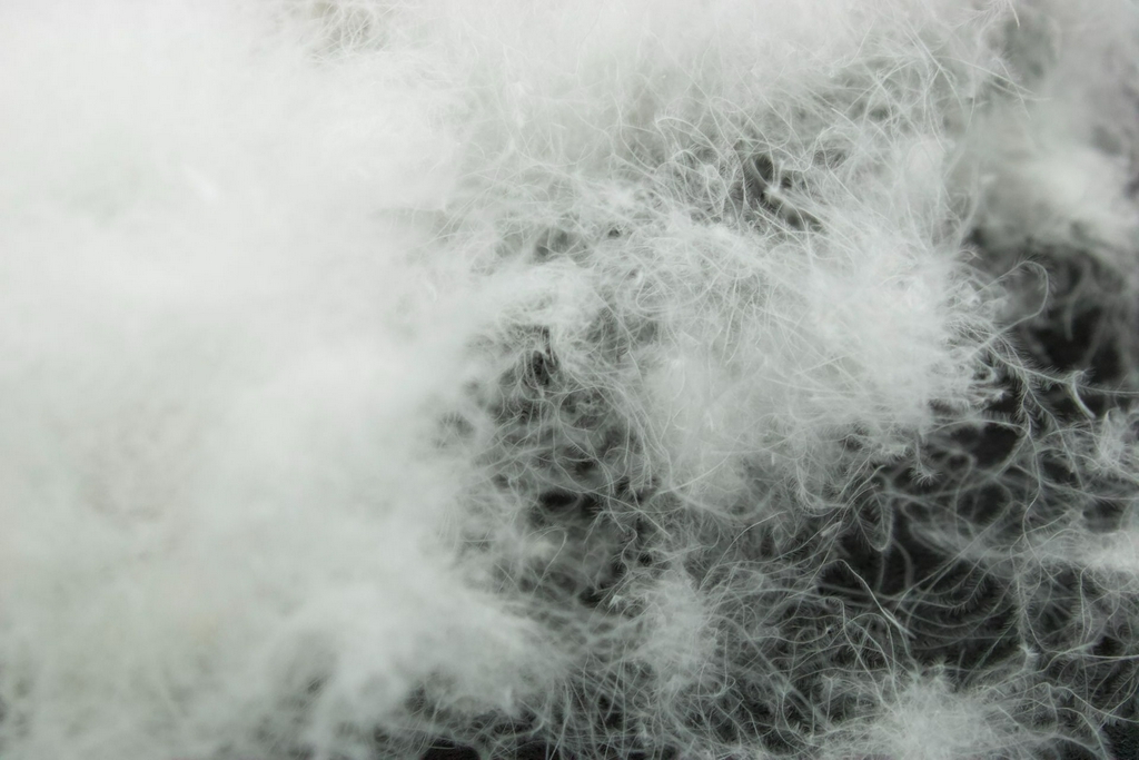 ALLIED Feather & Down - United States | FOURSOURCE